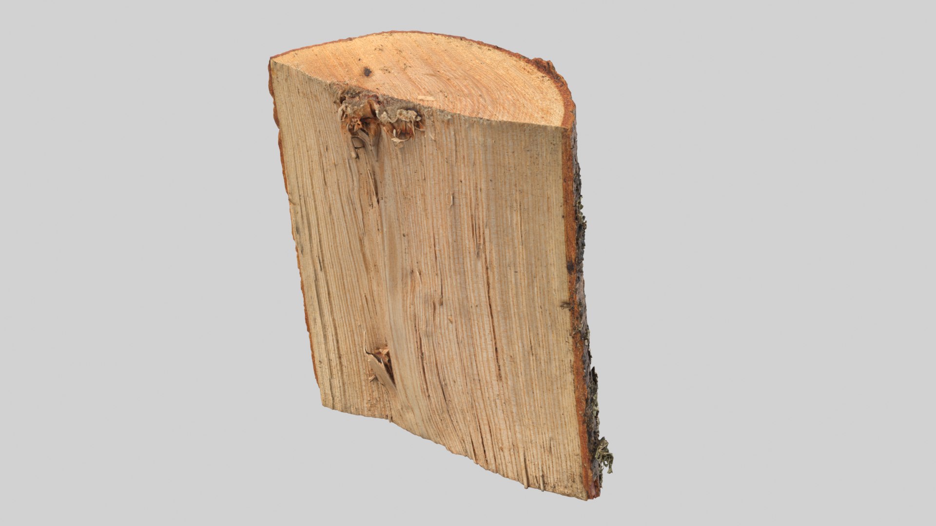 3D Model Log 02 - TurboSquid 1983429