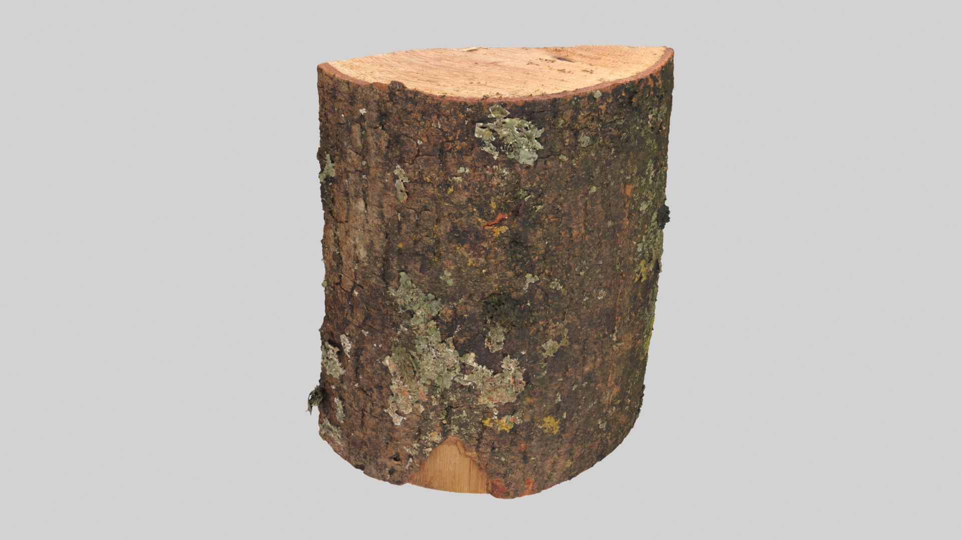 3D Model Log 02 - TurboSquid 1983429