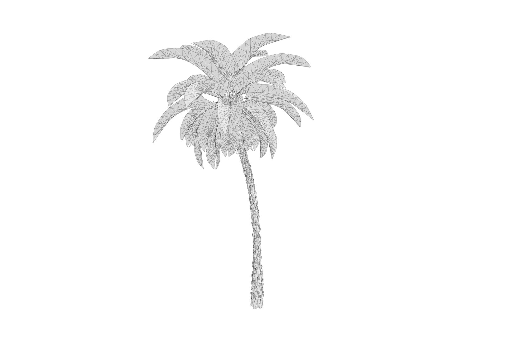 5 Date Palm 01 Low Poly Model - TurboSquid 2250871