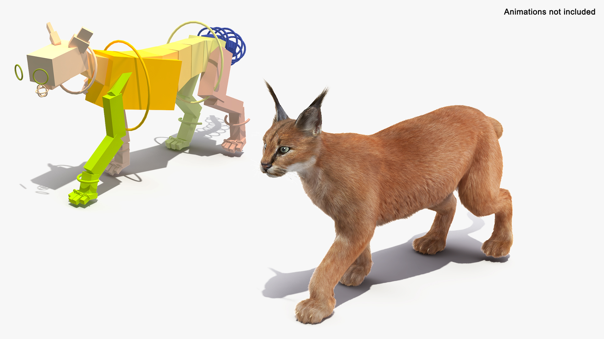 Caracal Fur Rigged 3D model - TurboSquid 2183317