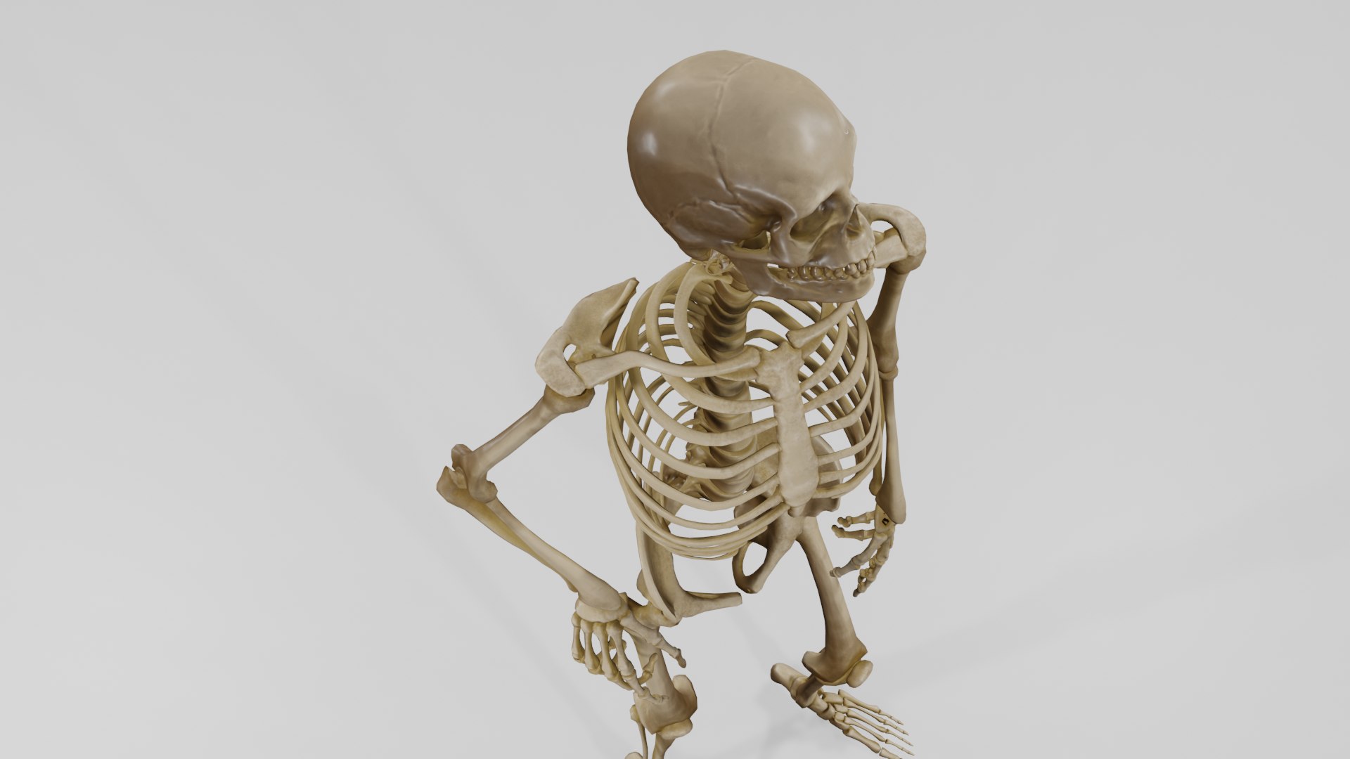 Human Skeleton Animated 3D Model - TurboSquid 2376814