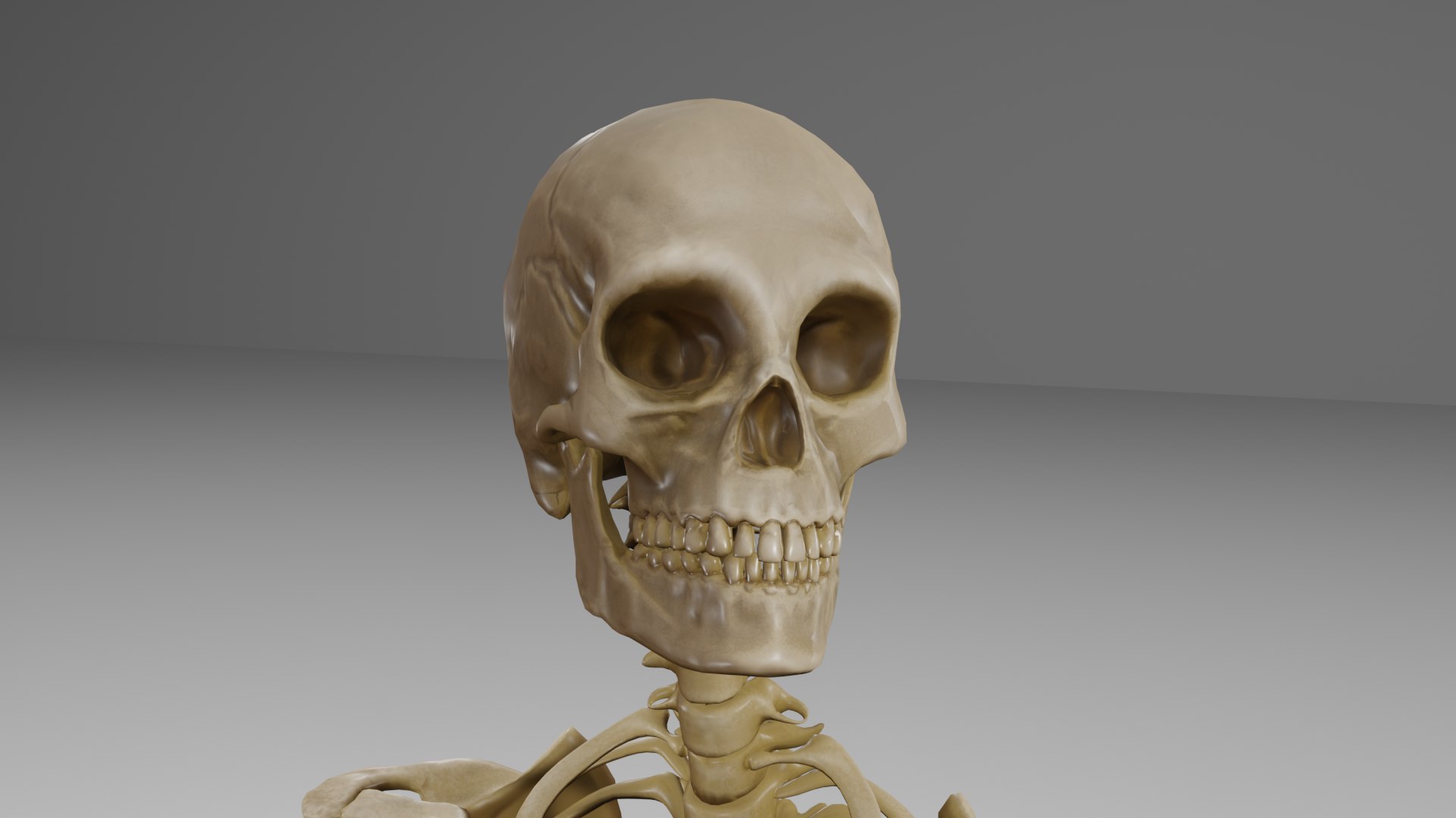 Human Skeleton Animated 3D Model - TurboSquid 2376814