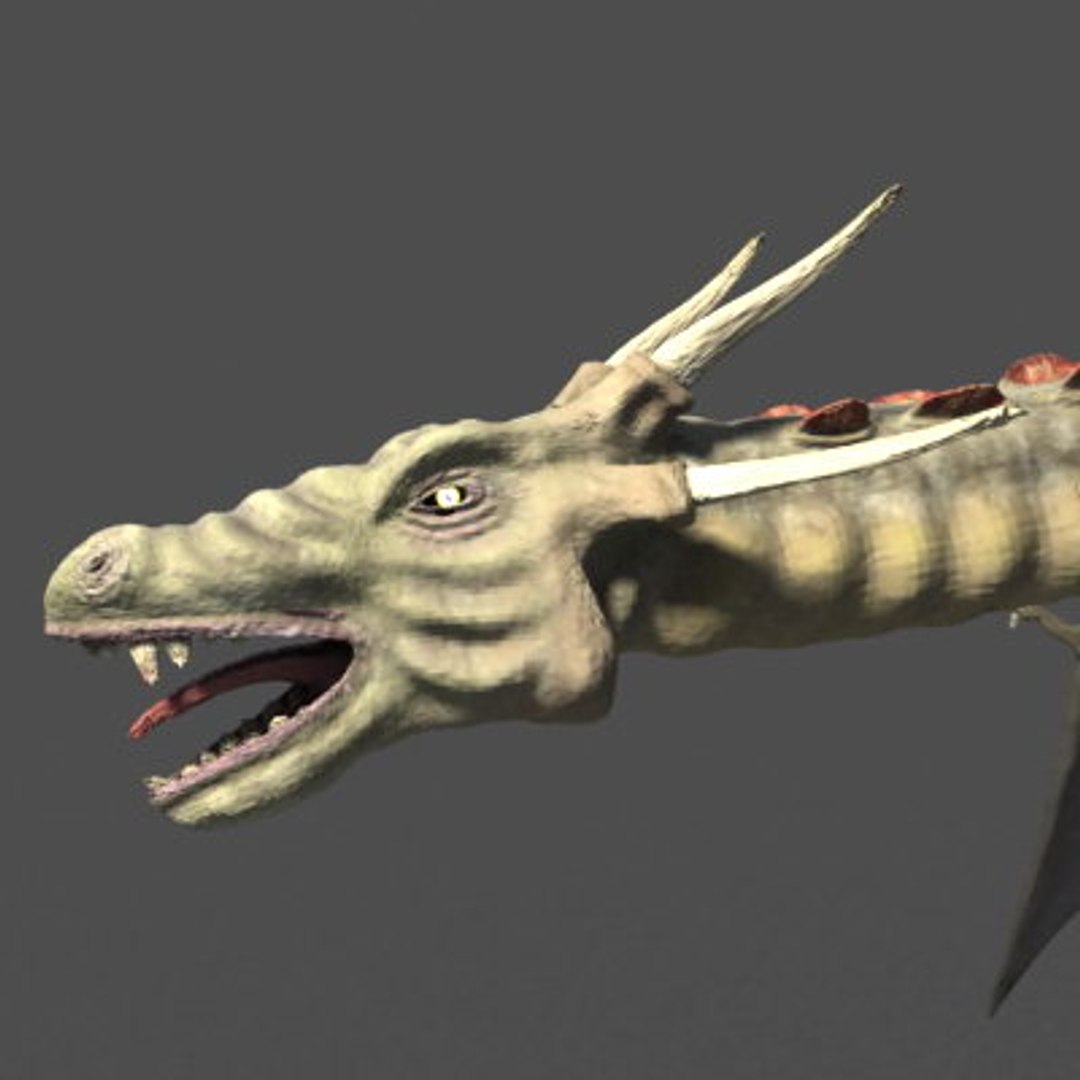 3d Fantasy Dragon Model
