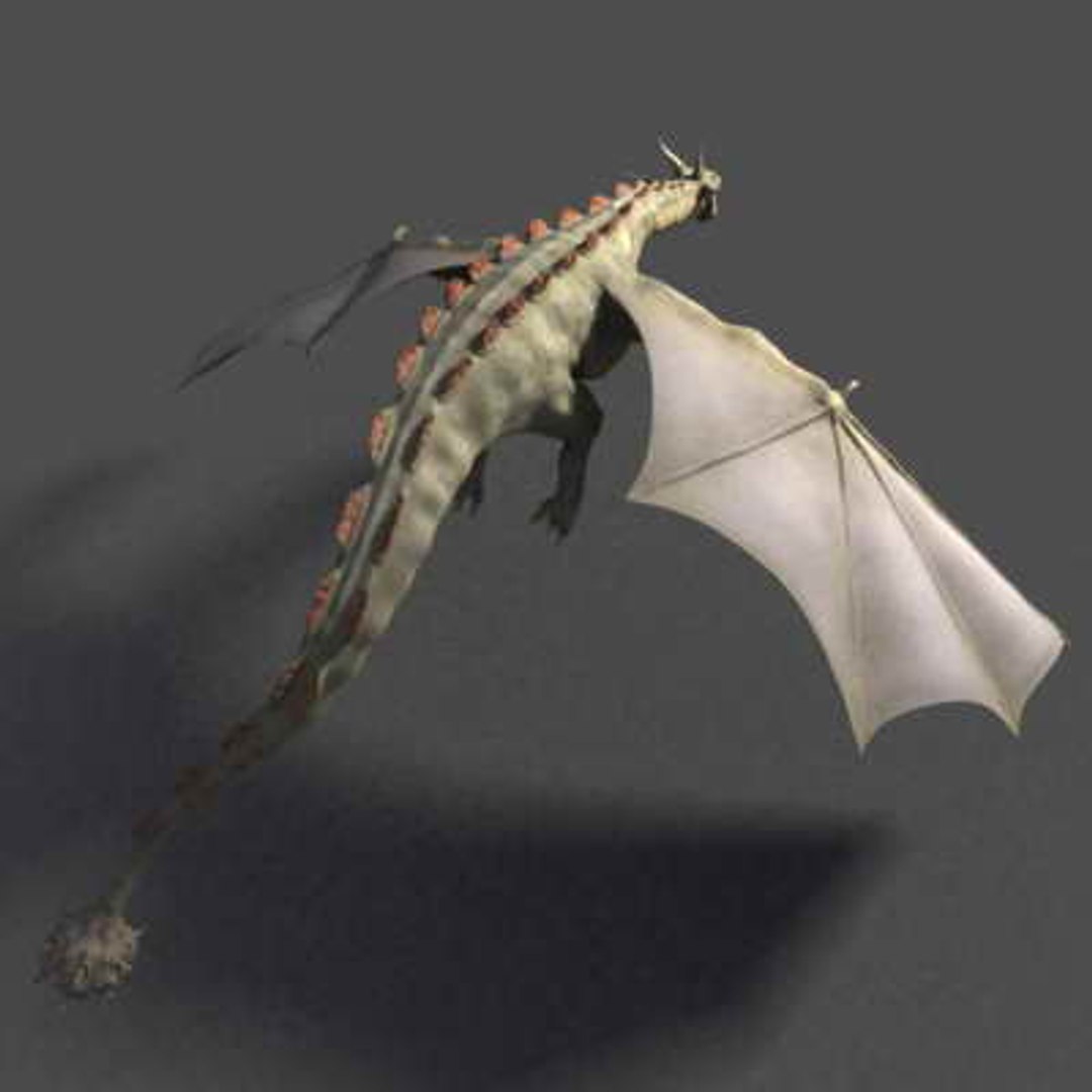 3d Fantasy Dragon Model
