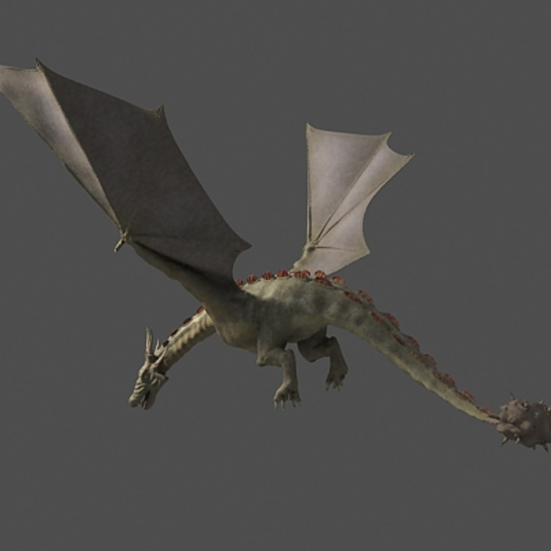 3d Fantasy Dragon Model