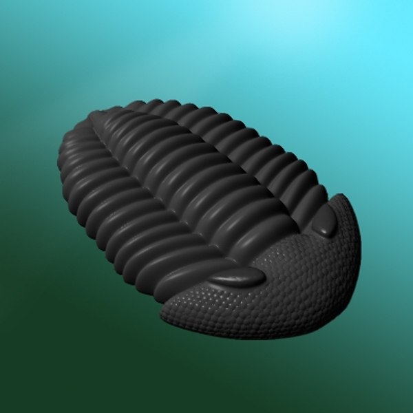 3d trilobite model