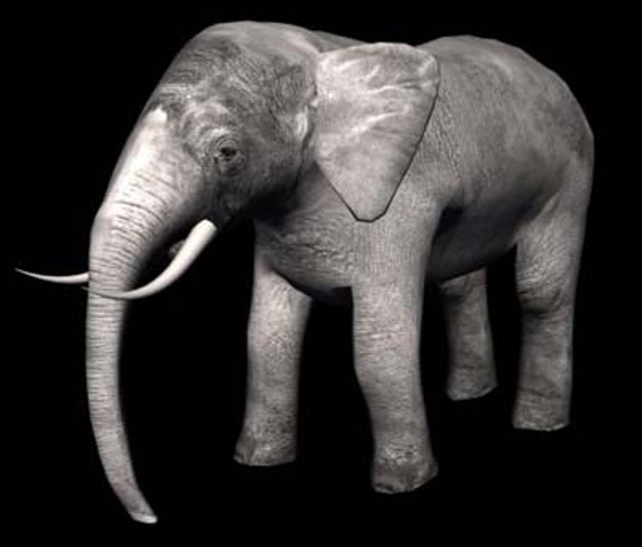 character animation elephant 3d max