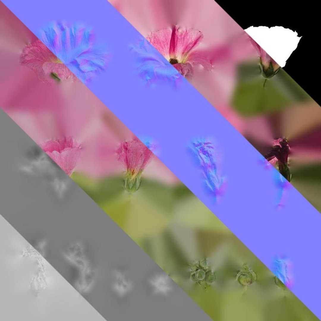 3D Anydrafts Alcea Rosea Flower 14 Textures Model - TurboSquid 2351980