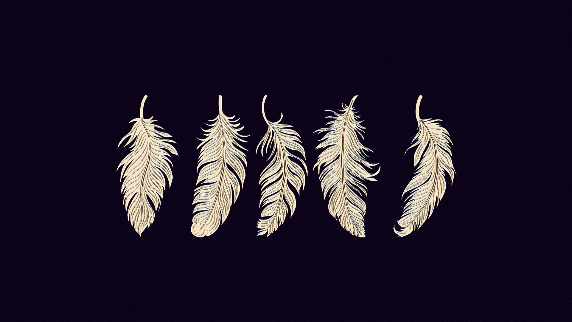 3D Art Feathers - TurboSquid 2050686