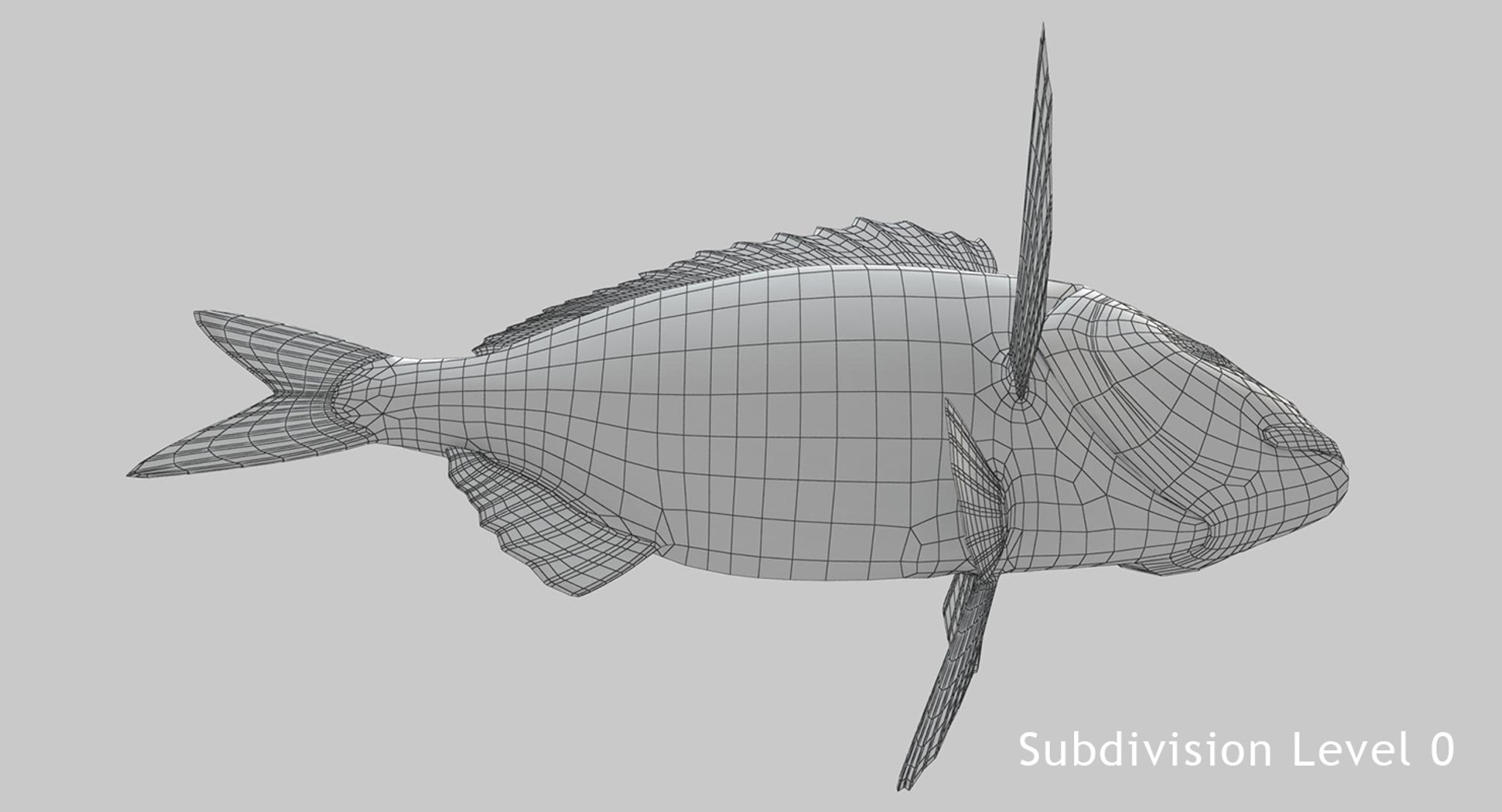 Snapper Fish Animation 3d Model