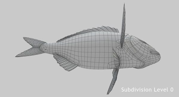 snapper fish animation 3d model