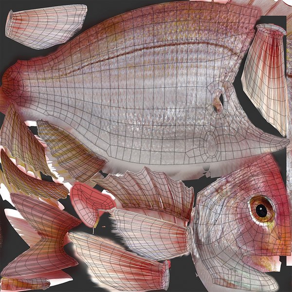 snapper fish animation 3d model