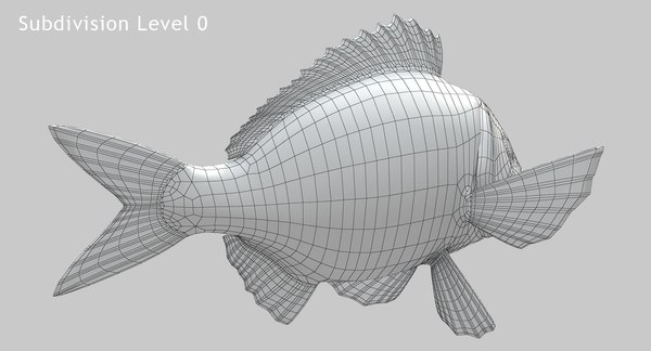 snapper fish animation 3d model