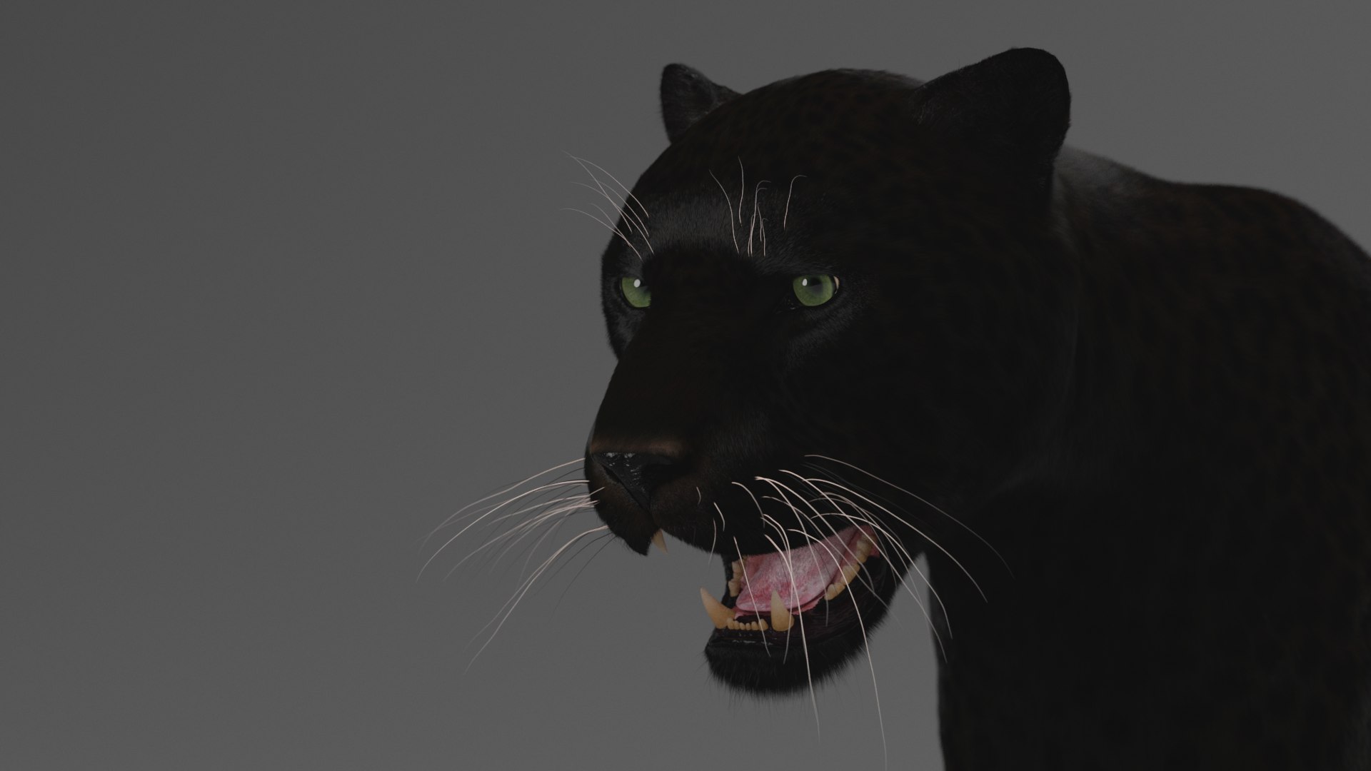 Panther 3D Model - TurboSquid 1338567