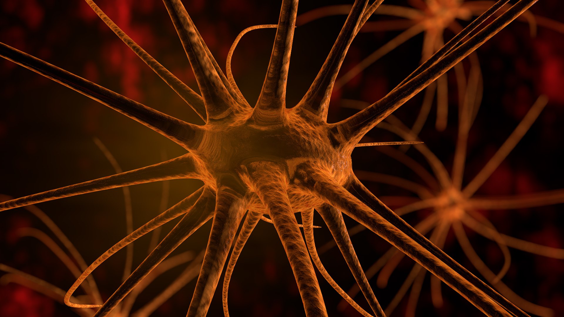 Nerve Cell 3D Model - TurboSquid 2084509