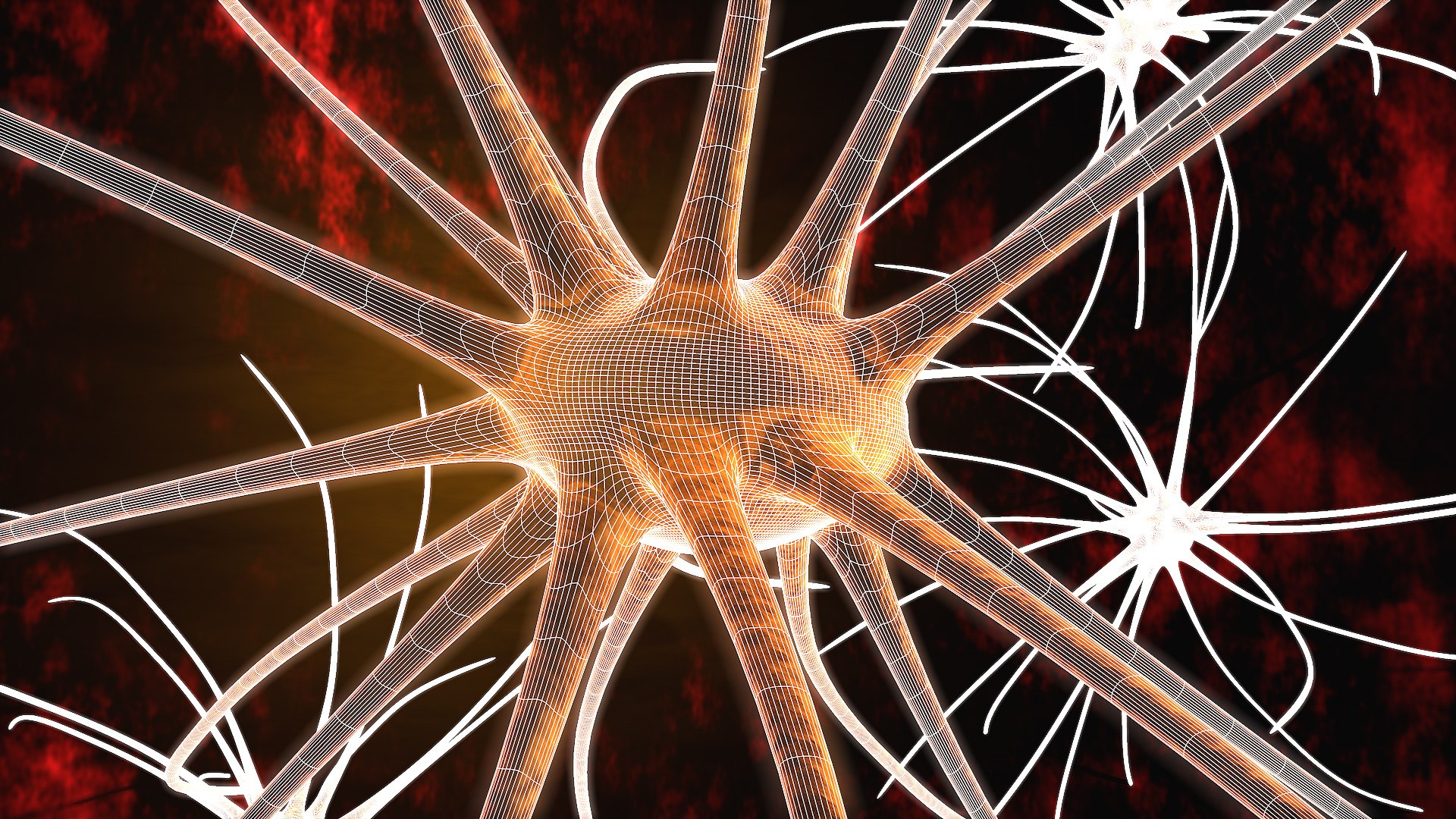 Nerve Cell 3D Model - TurboSquid 2084509