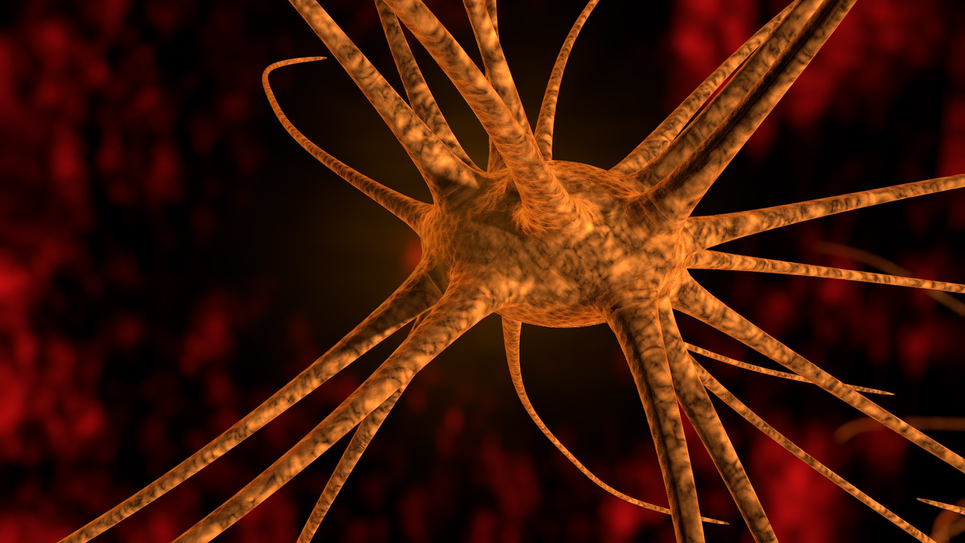 Nerve Cell 3D Model - TurboSquid 2084509