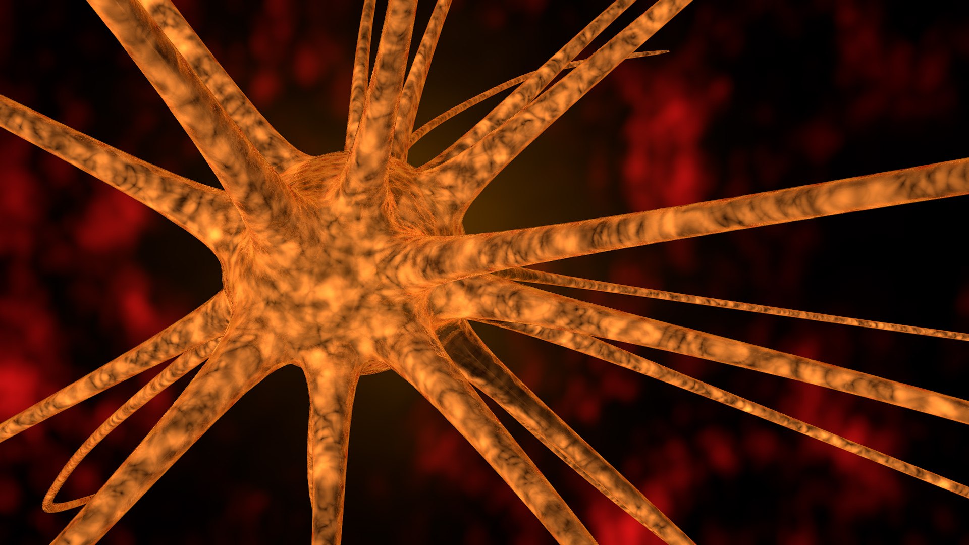 Nerve Cell 3D Model - TurboSquid 2084509