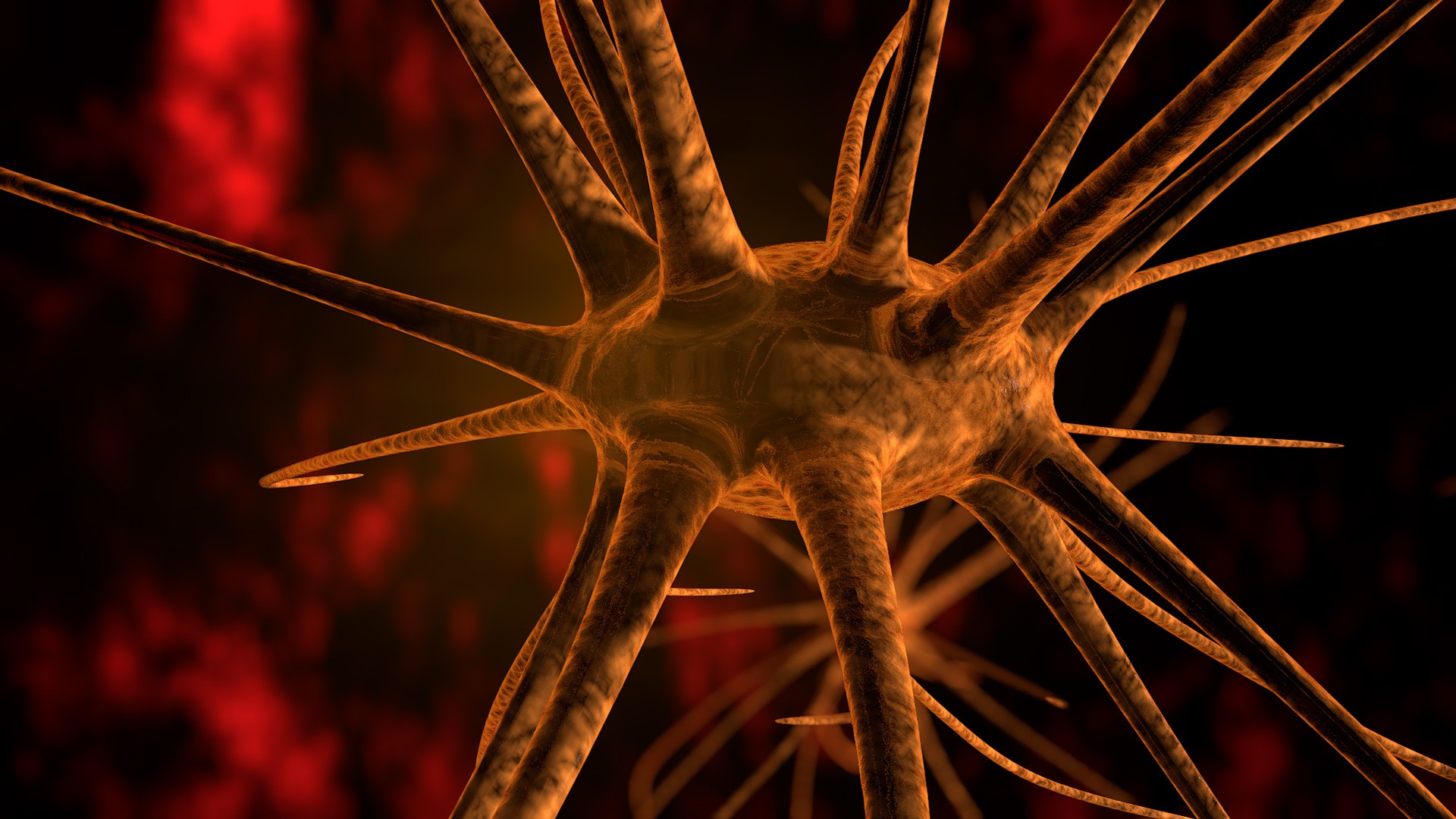 Nerve Cell 3D Model - TurboSquid 2084509