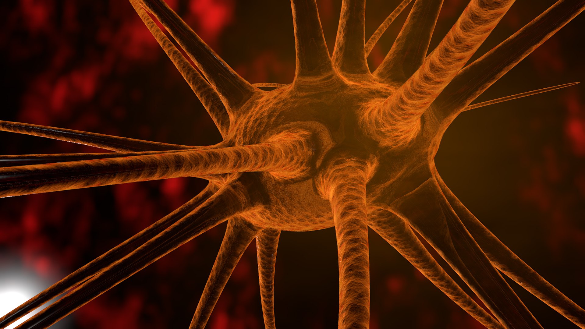 Nerve Cell 3D Model - TurboSquid 2084509