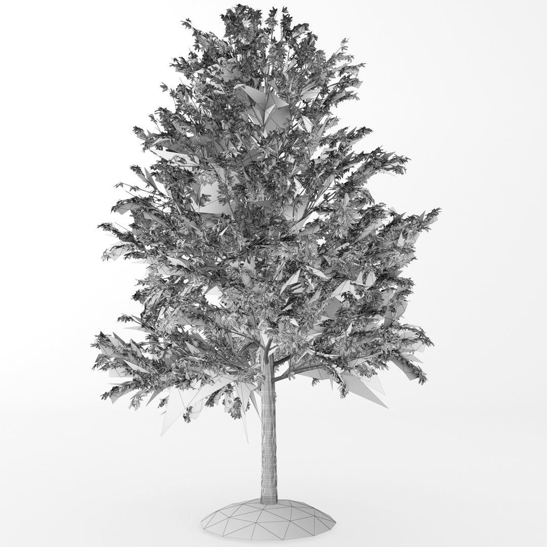 3D Model Autumn Cherry Aspen - TurboSquid 1338057
