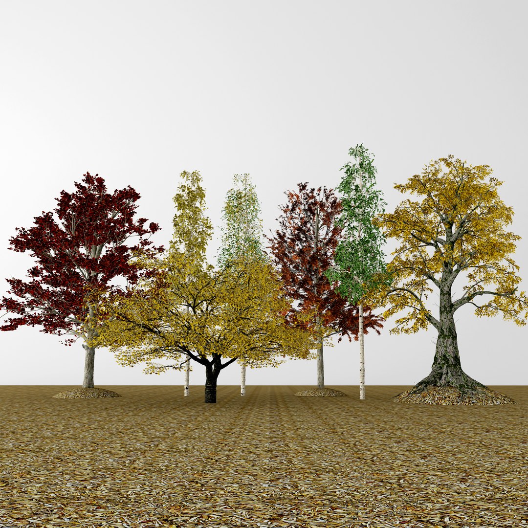 3D Model Autumn Cherry Aspen - TurboSquid 1338057