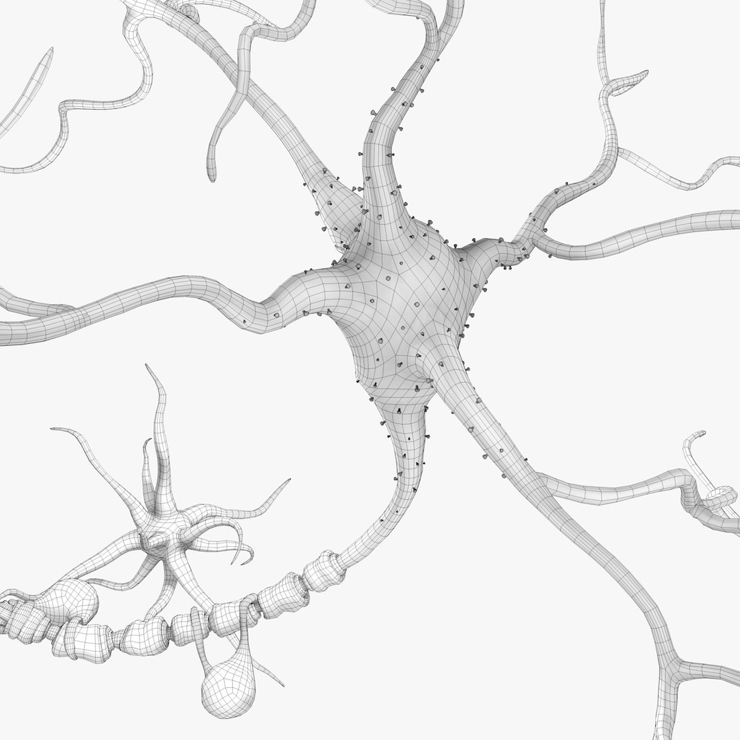obj neuron structure cells