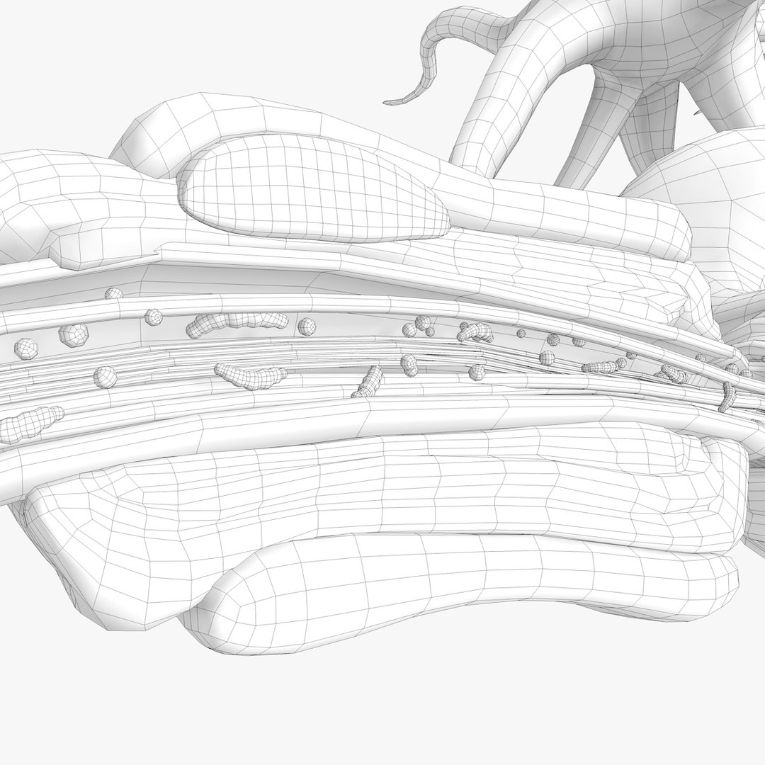 obj neuron structure cells