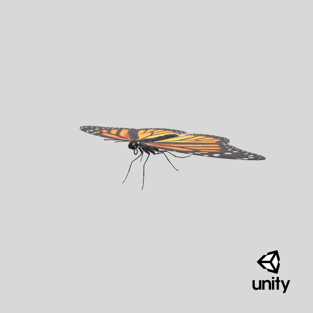 3D monarch butterfly - TurboSquid 1599722