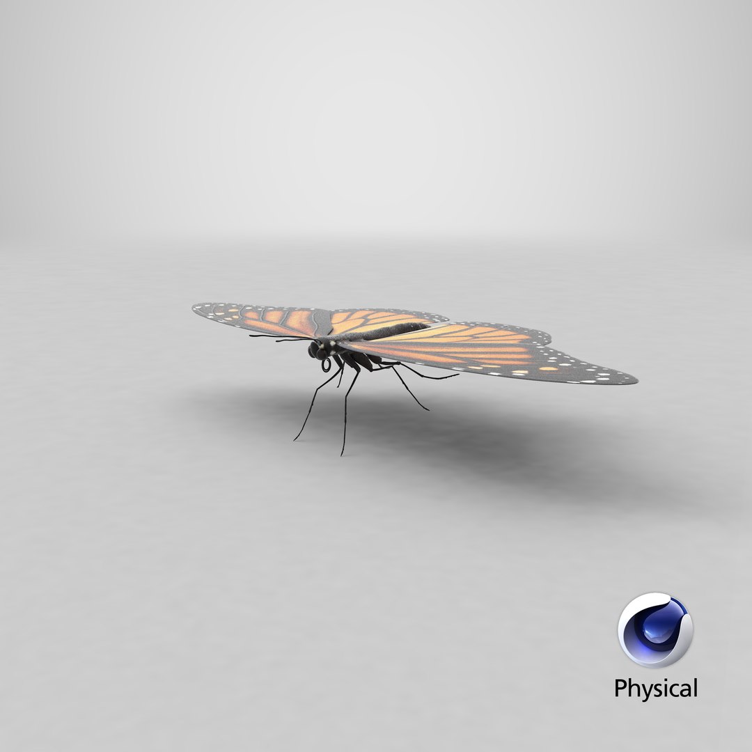 3D monarch butterfly - TurboSquid 1599722