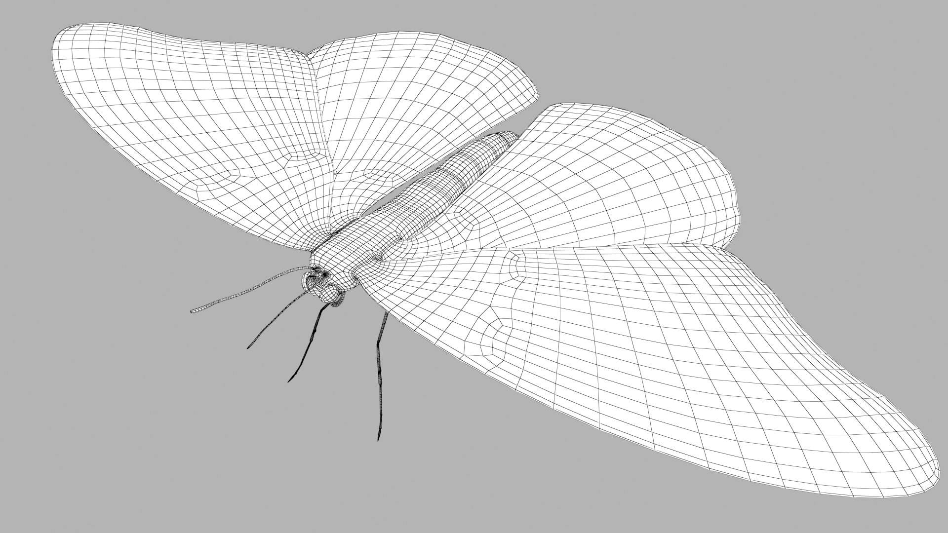 3D Monarch Butterfly - TurboSquid 1599722
