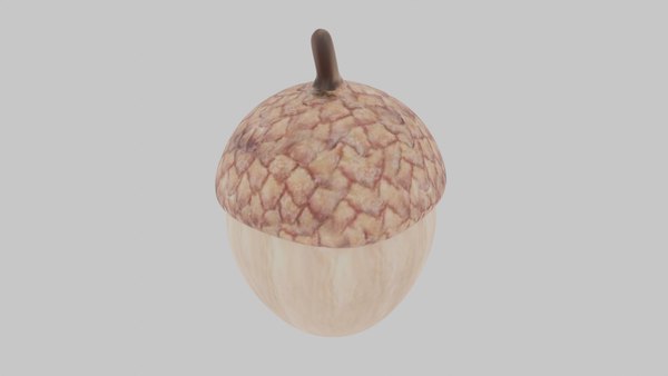 Acorn 3D model - TurboSquid 2021344