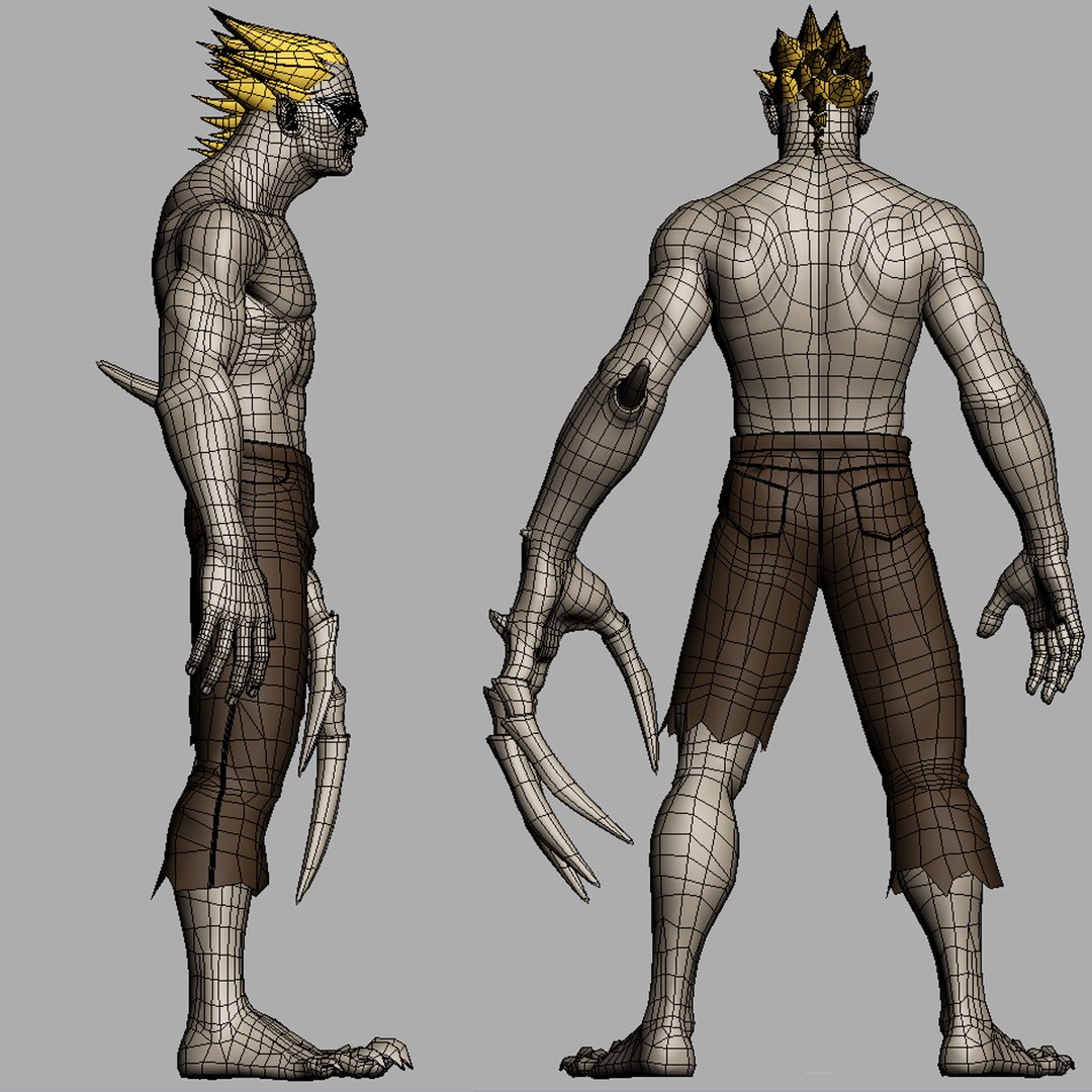 Muscles Setup 3d Model