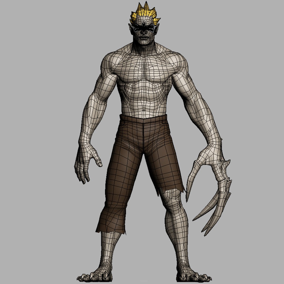 Muscles Setup 3d Model