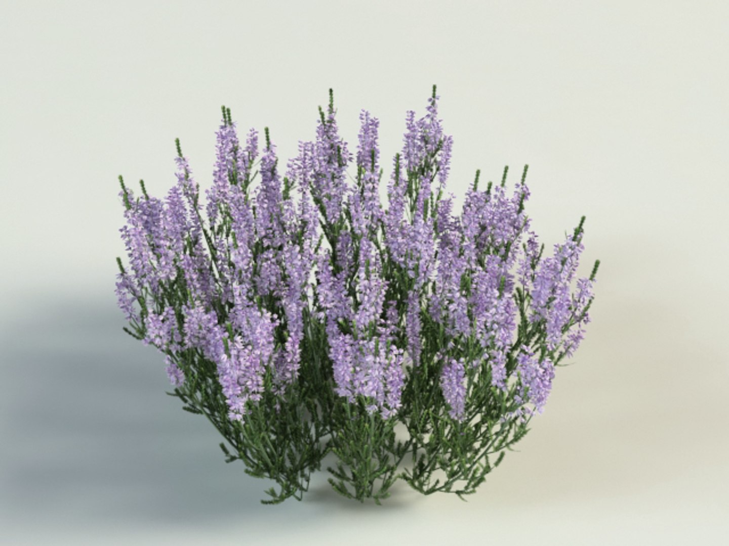 Ling Landscape Design 3D Model - TurboSquid 1372954