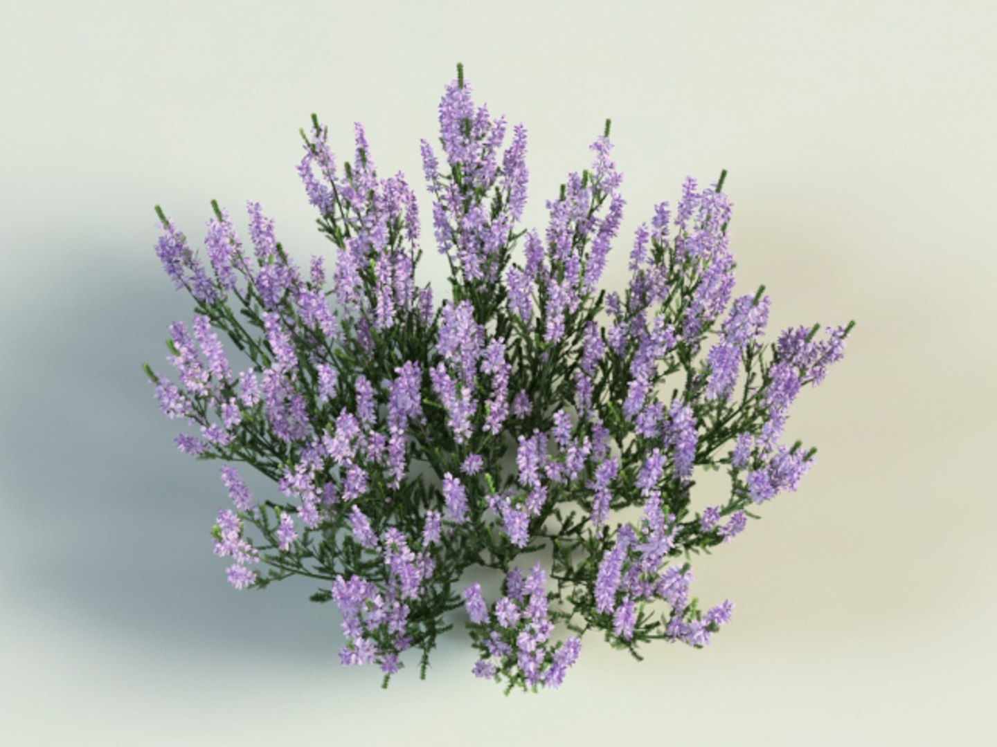 Ling Landscape Design 3D Model - TurboSquid 1372954