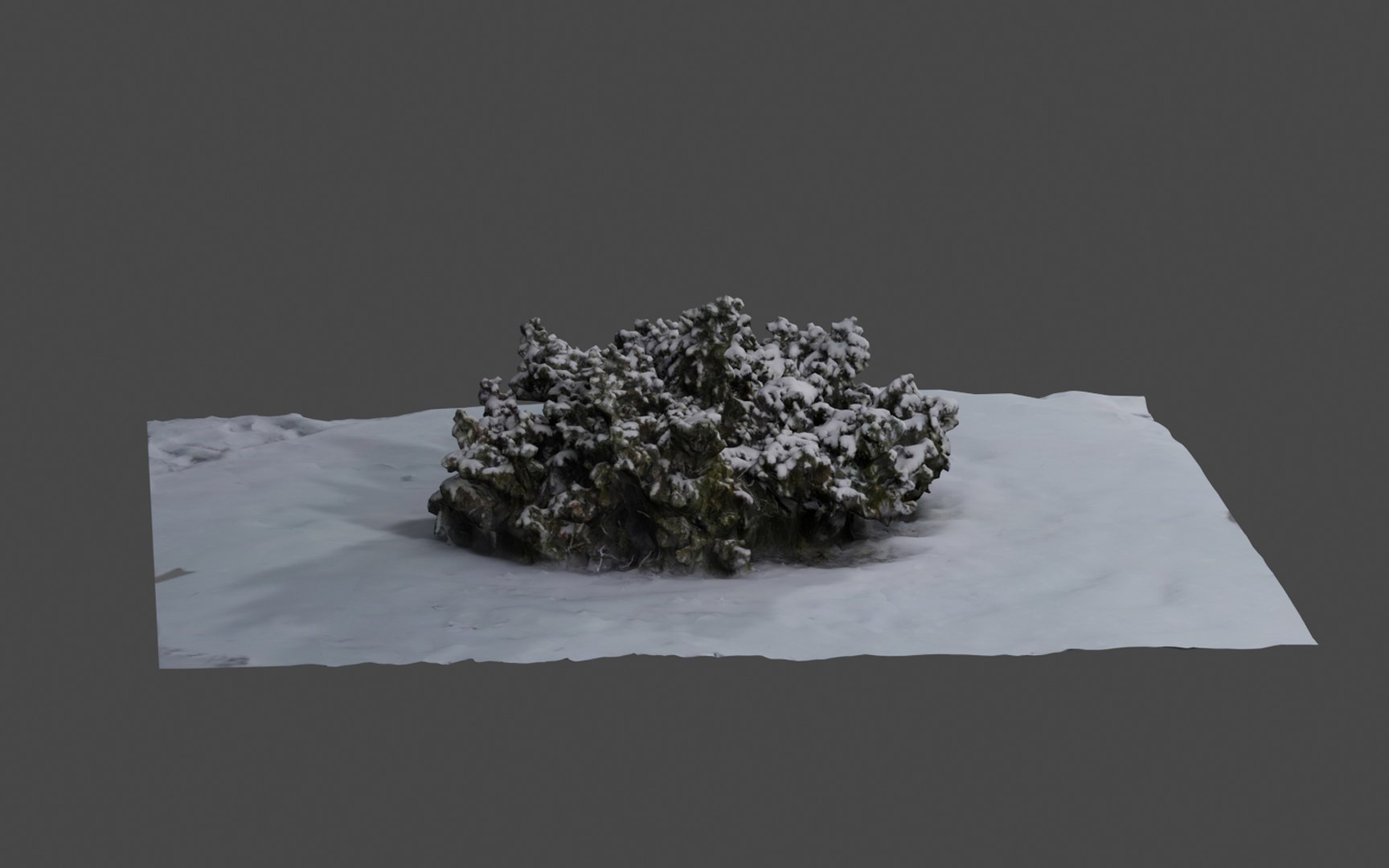 3D FROZEN SNOWY ICY WINTER BUSH Model - TurboSquid 1994385