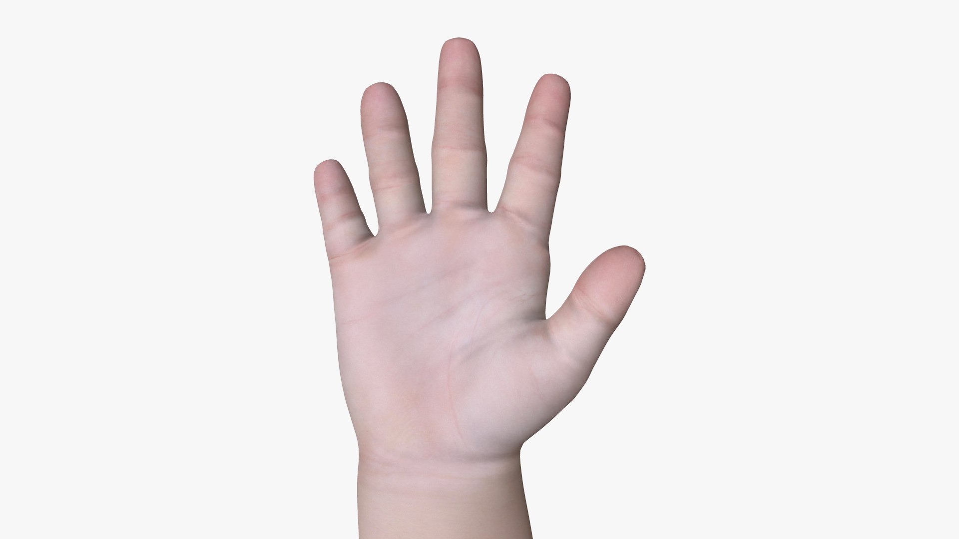 HND-013 Rigged Right Hand 3D - TurboSquid 1983095