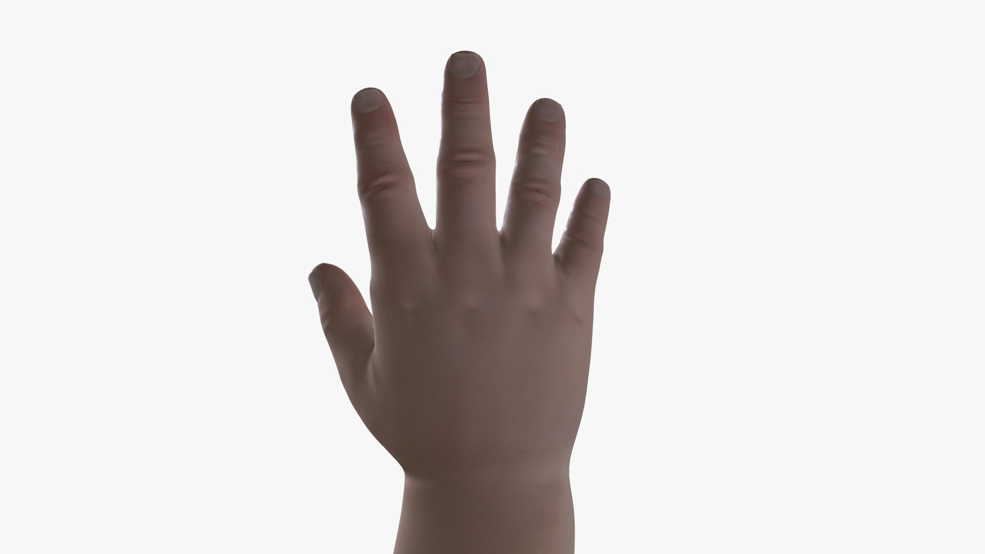 HND-013 Rigged Right Hand 3D - TurboSquid 1983095