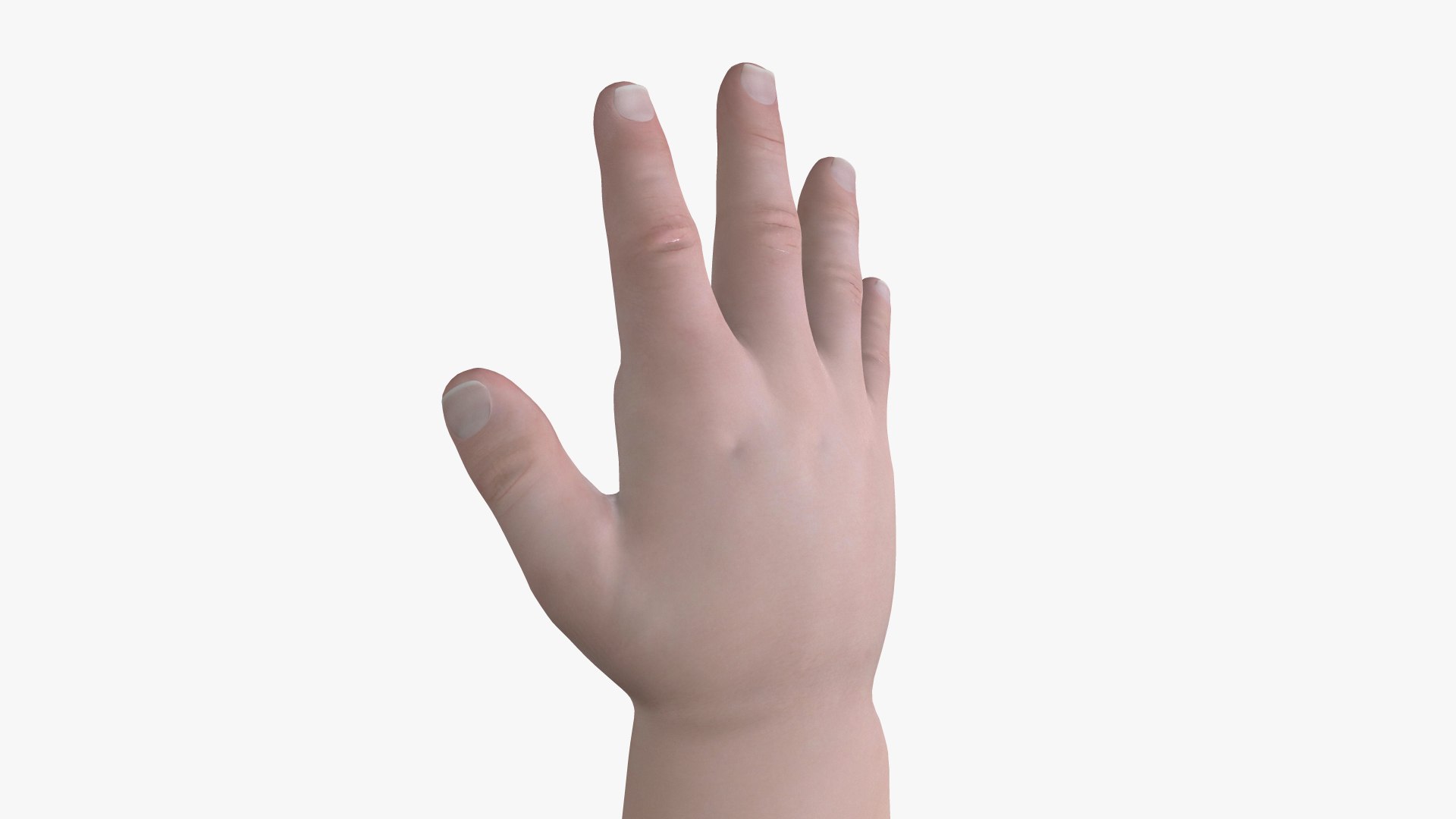 HND-013 Rigged Right Hand 3D - TurboSquid 1983095