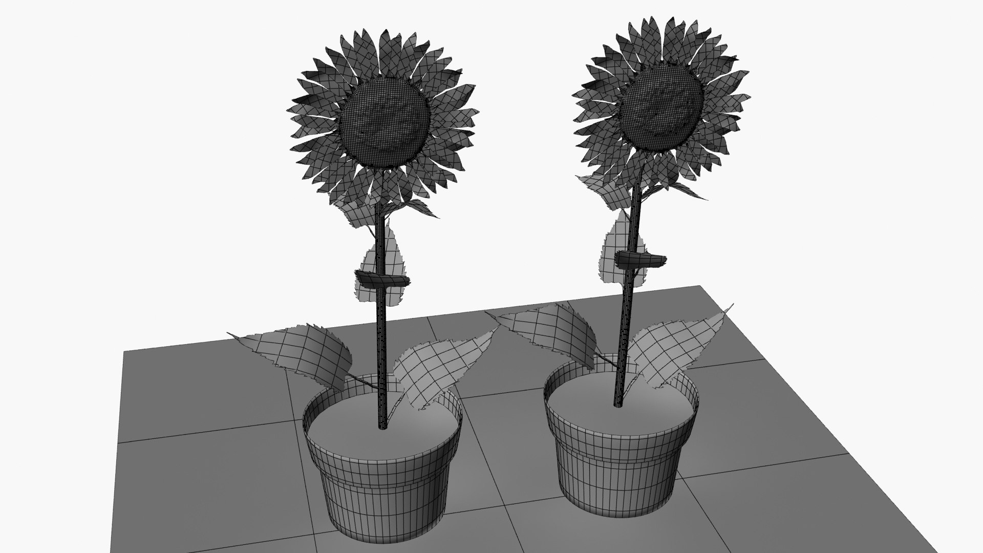 Sunflowers 3D Model - TurboSquid 2160182