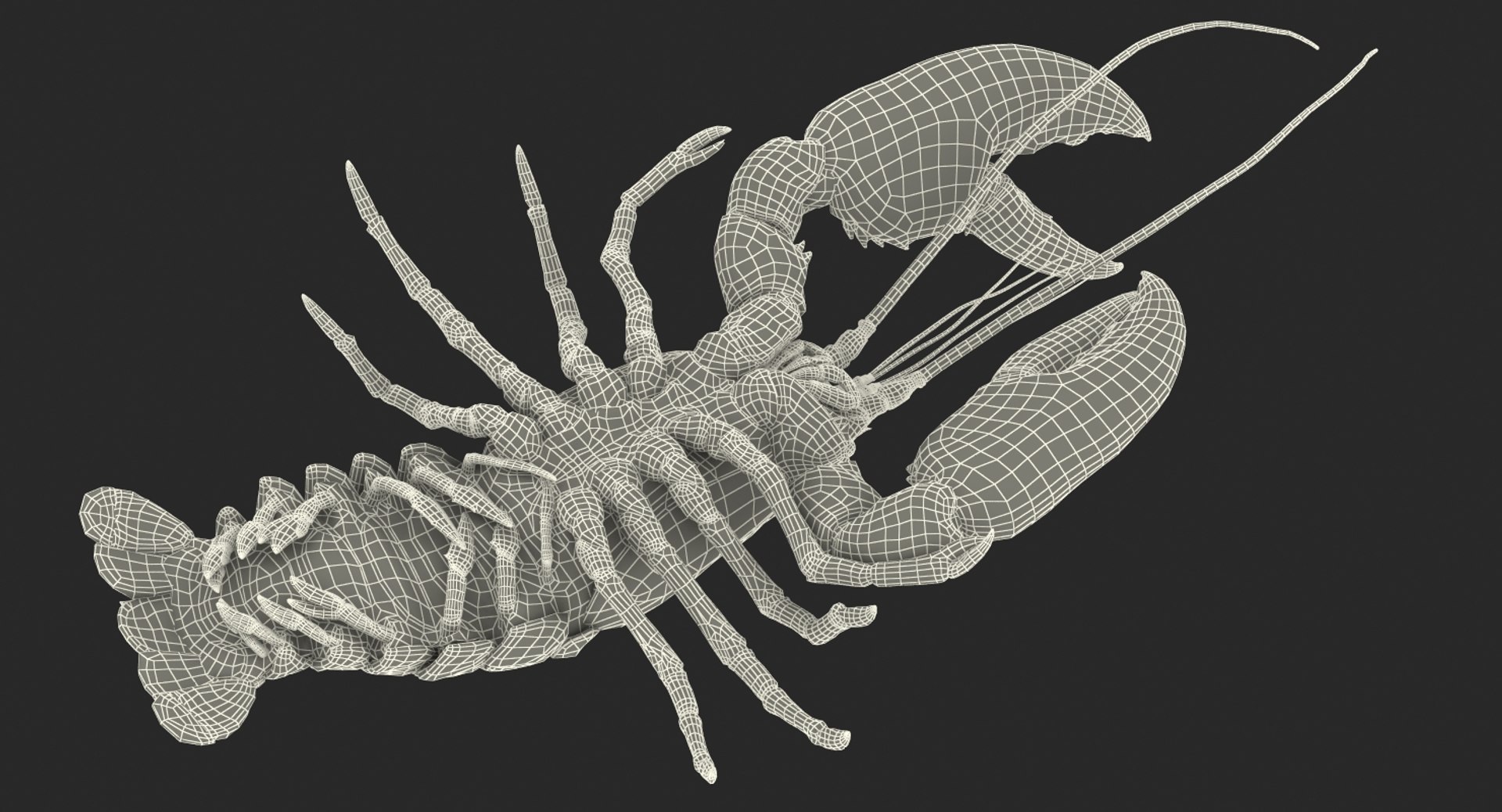 3d model lobster pose 3