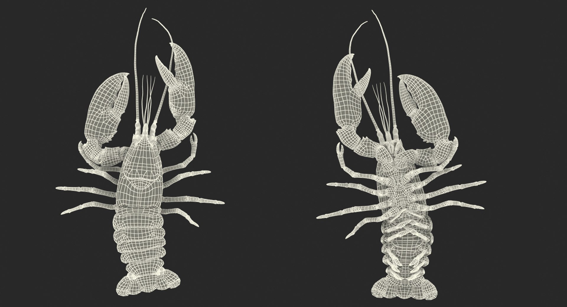 3d model lobster pose 3