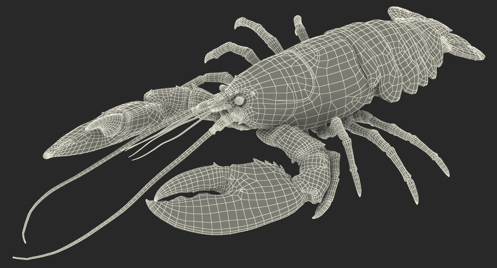 3d model lobster pose 3