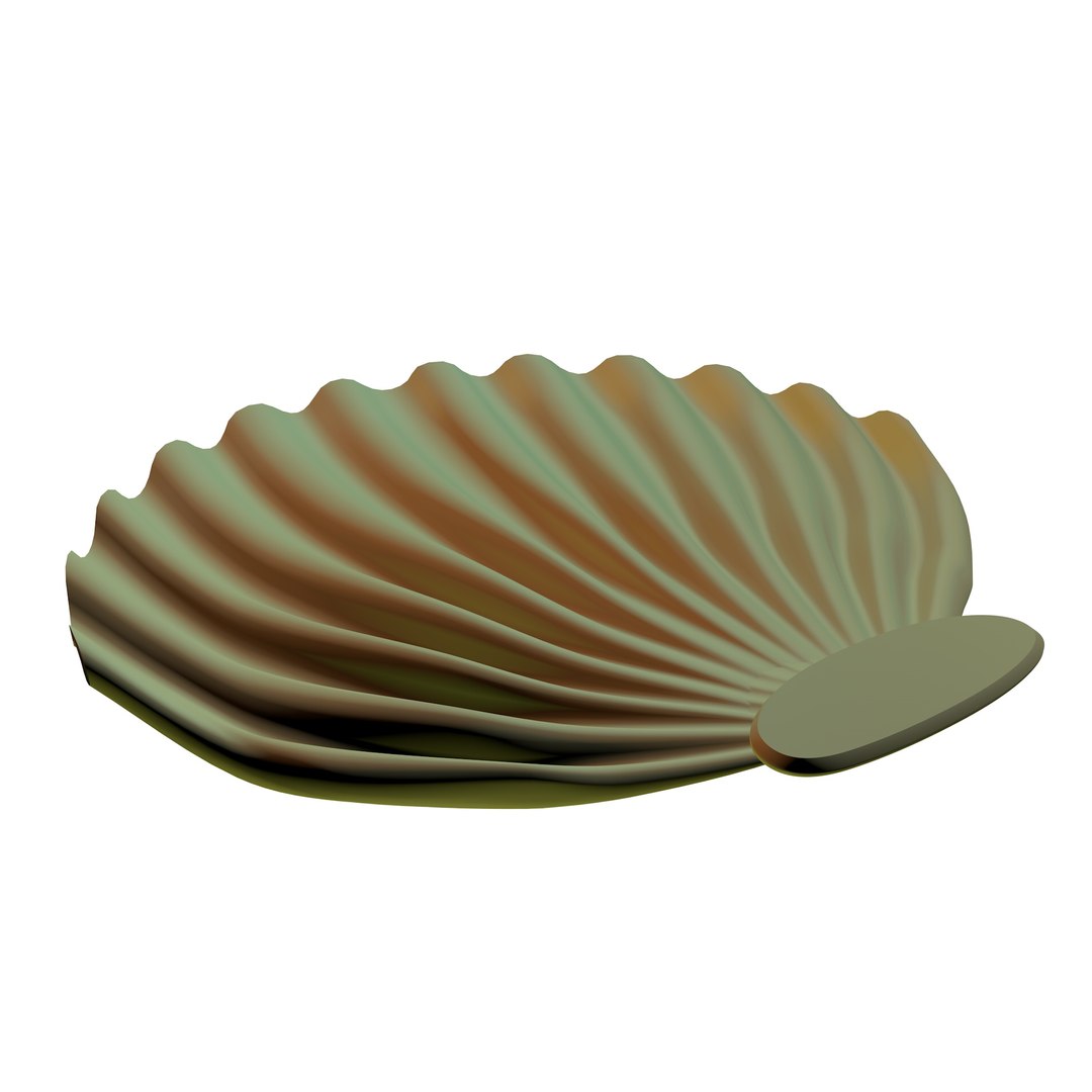 3D Model SEASHELL-3d - TurboSquid 1838381