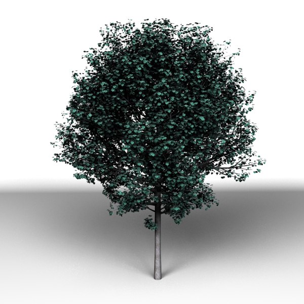 3d model tree