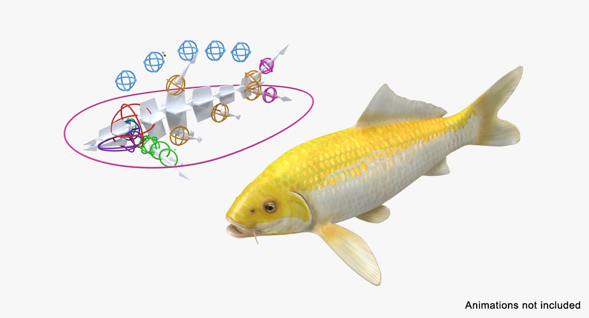 3D Model Yellow Koi Ogon Fish | 1144514 | TurboSquid