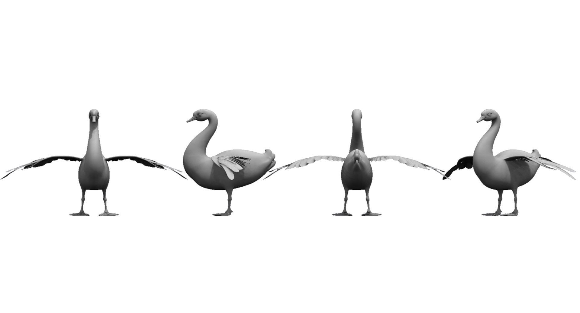Swan Model - TurboSquid 1481770