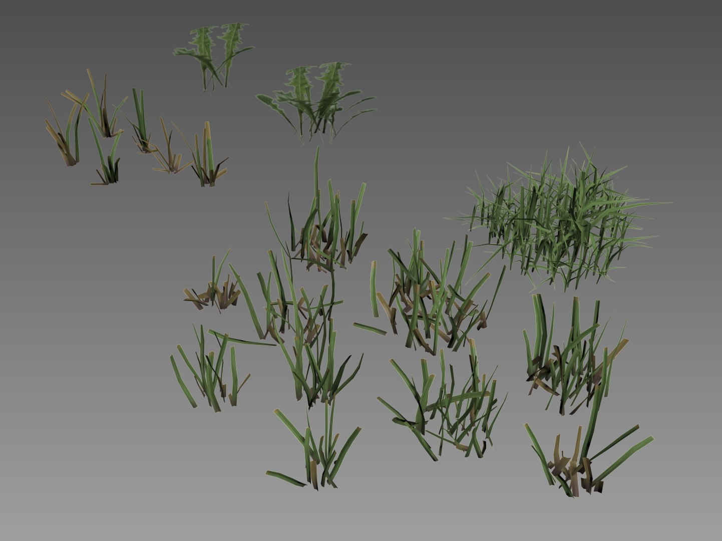 3D Mowed Lawn Grass Model - TurboSquid 1336762