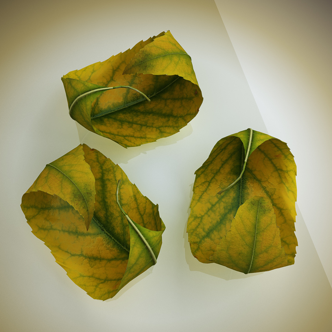 3d model realistic autumn leaves leaf